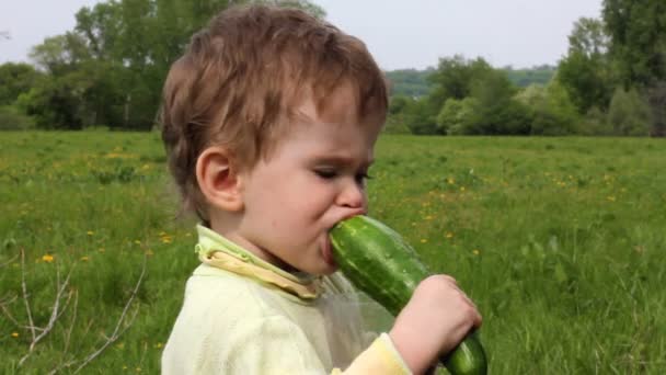Little girl eating apple on meadow — Stock Video © Kokhanchikov #12632389