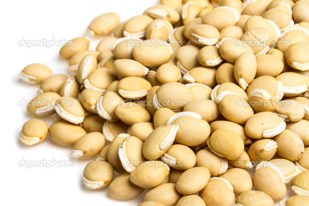 Azuki beans Stock Photo by ©AndreySt 15505509