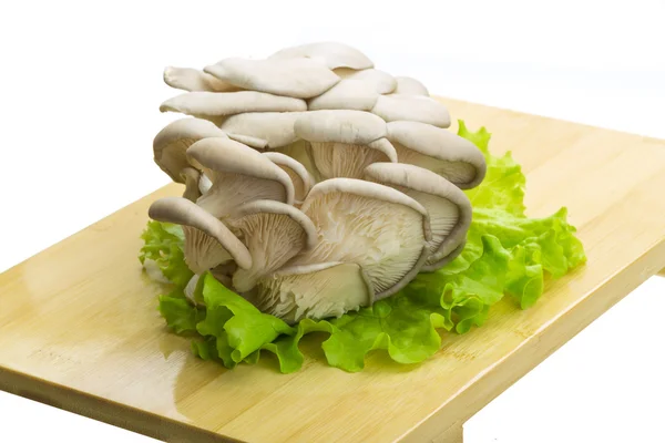 Grote portobello champignons fotos de stock, imágenes de Grote ...