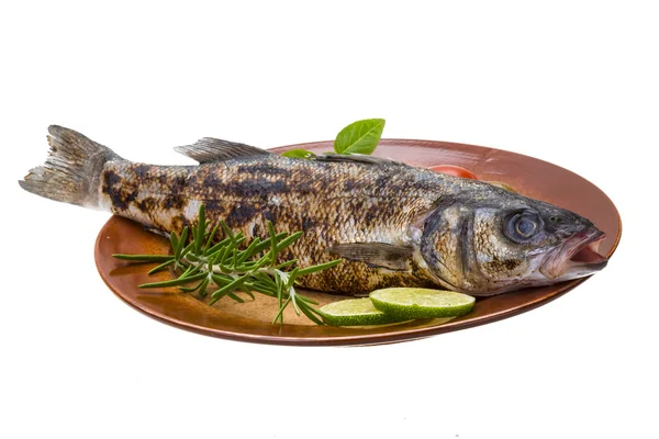 Poisson en gros Stock Photos, Royalty Free Poisson en gros Images ...
