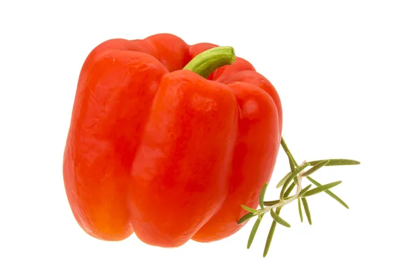Red pepper farming Stock Photos, Royalty Free Red pepper farming Images ...