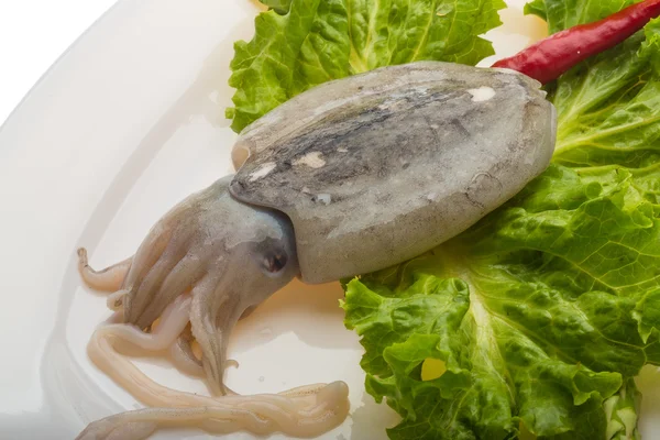 Raw cuttlefish Stock Photo by ©AndreySt 49365103