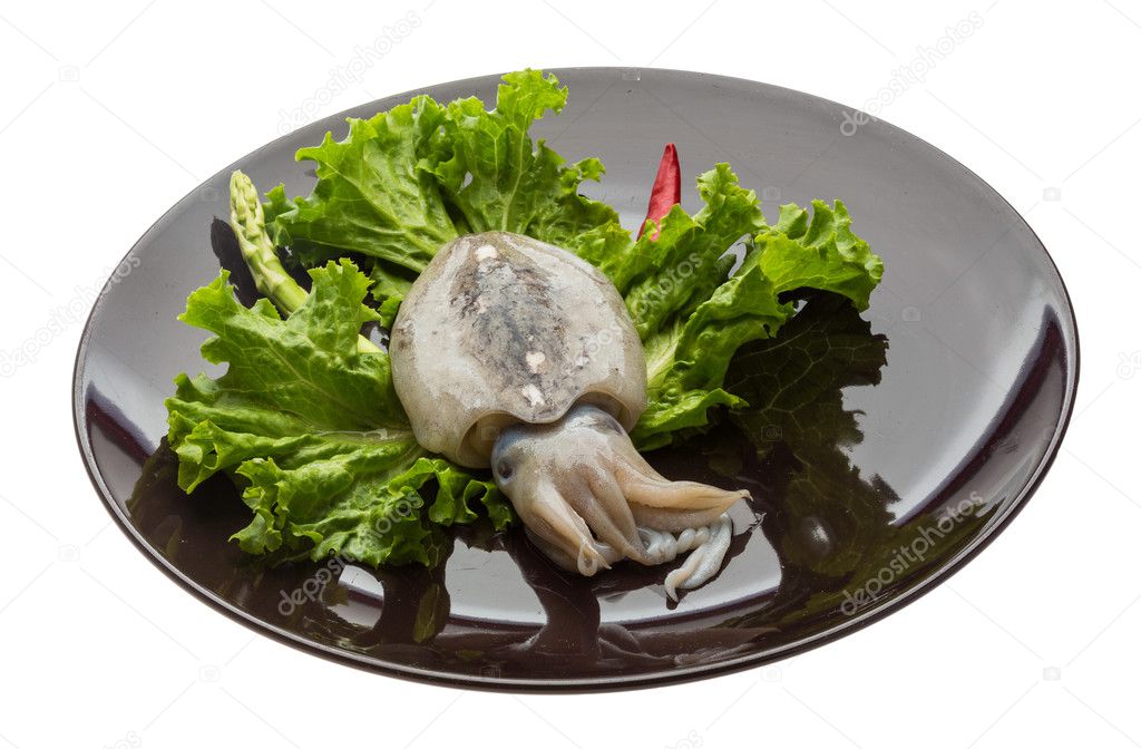 Raw cuttlefish Stock Photo by ©AndreySt 49237003