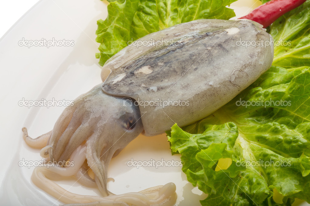 Raw cuttlefish — Stock Photo © AndreySt #49637291