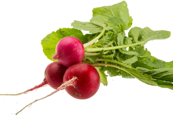 Nabos rojos Stock Photos, Royalty Free Nabos rojos Images | Depositphotos