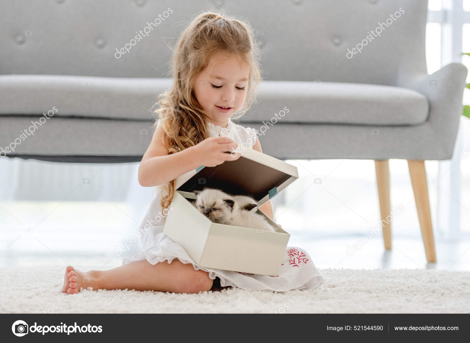 Girl with ragdoll kitten Stock Photo by ©tan4ikk 521544590