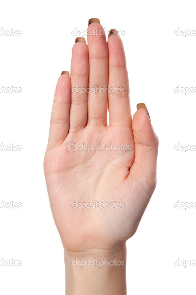 Female Hands Palm