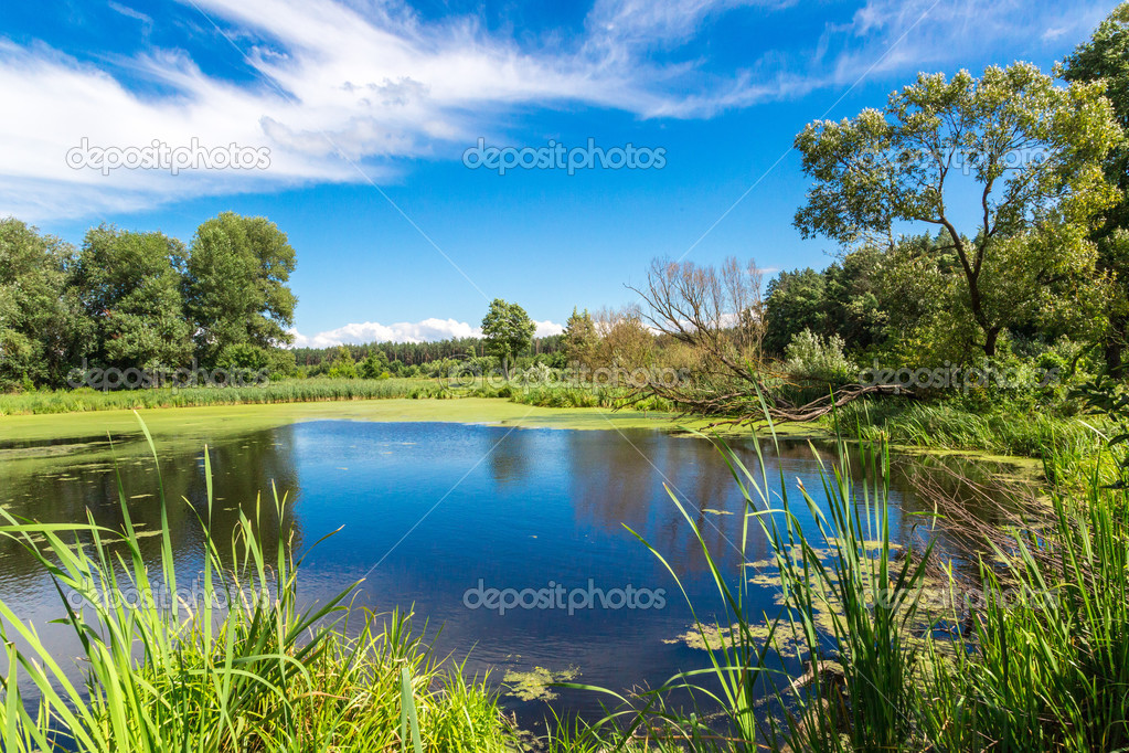 Panorama of summer morning lake Stock Photo by ©bloodua 42300623