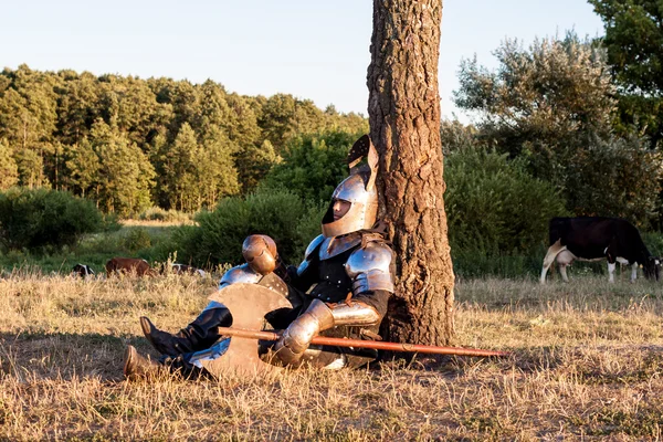 Medieval knight - Stock Image - Everypixel