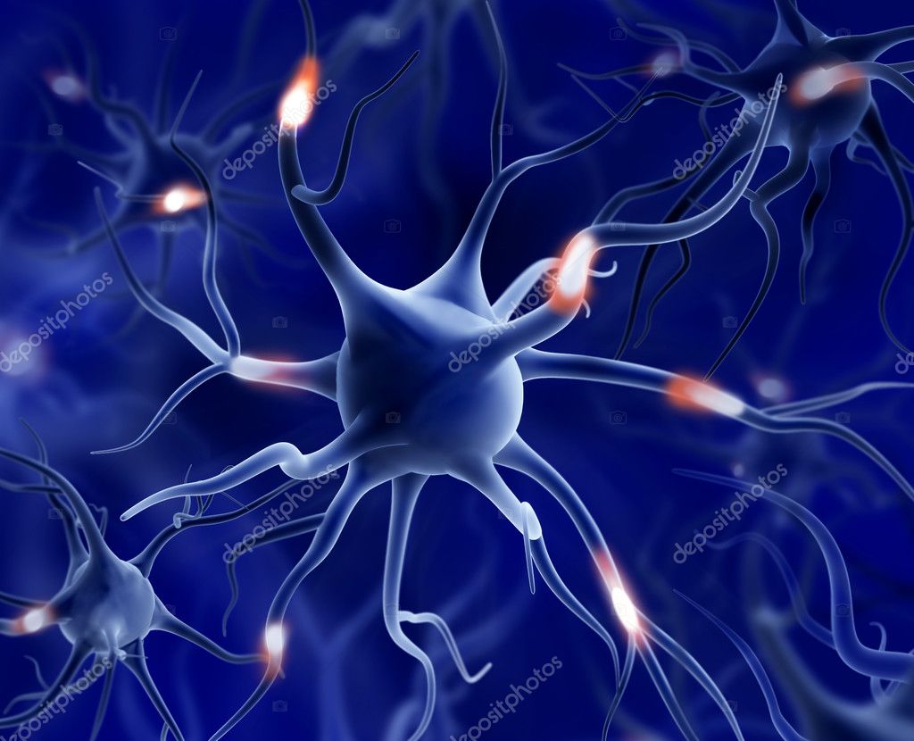 Neurons 3d Hd
