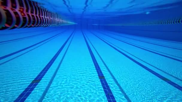 Competitive Swimming Wallpaper