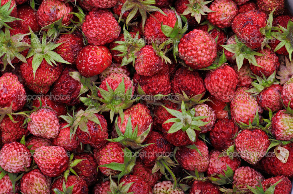 Strawberry Stock Photo by ©merzavka 12839000