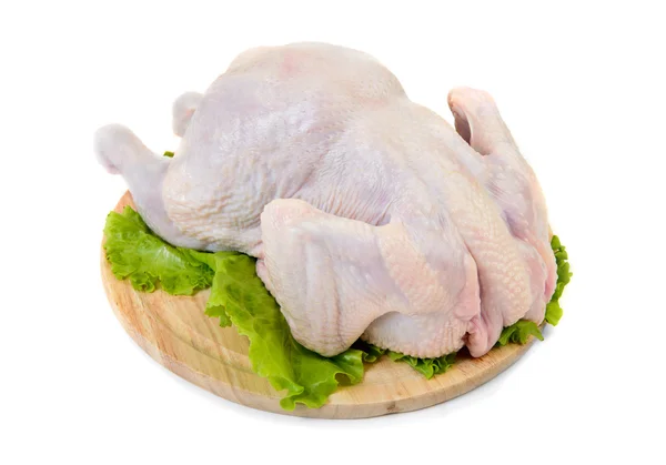 Marco de pollo Stock Photos, Royalty Free Marco de pollo Images ...