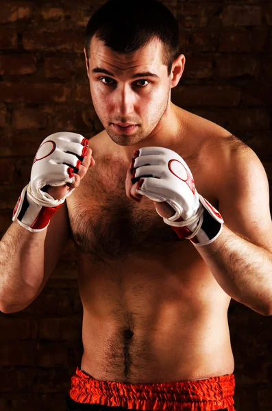 fighter - Stock Image - Everypixel