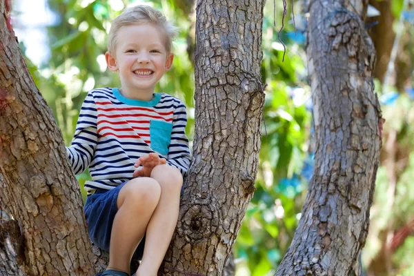 Kid climbing the tree Stock Photo by ©noblige 77350680