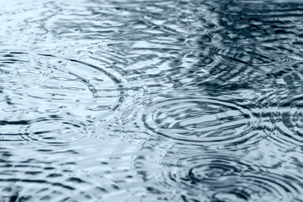Rain and water ripples - Stock Image - Everypixel