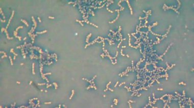 Portfolio: Dimarion | Stock Photos, Illustrations and Vector Art ...