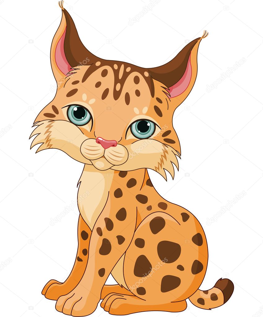 Lynx — Stock Vector © Dazdraperma #24798951 Lynx — Stock Vector © Dazdraperma #24798951