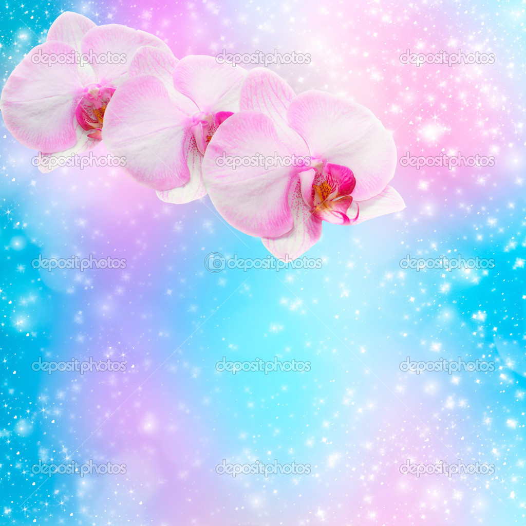 Beautiful pink orchid branch on an abstract background of a deli Stock ...