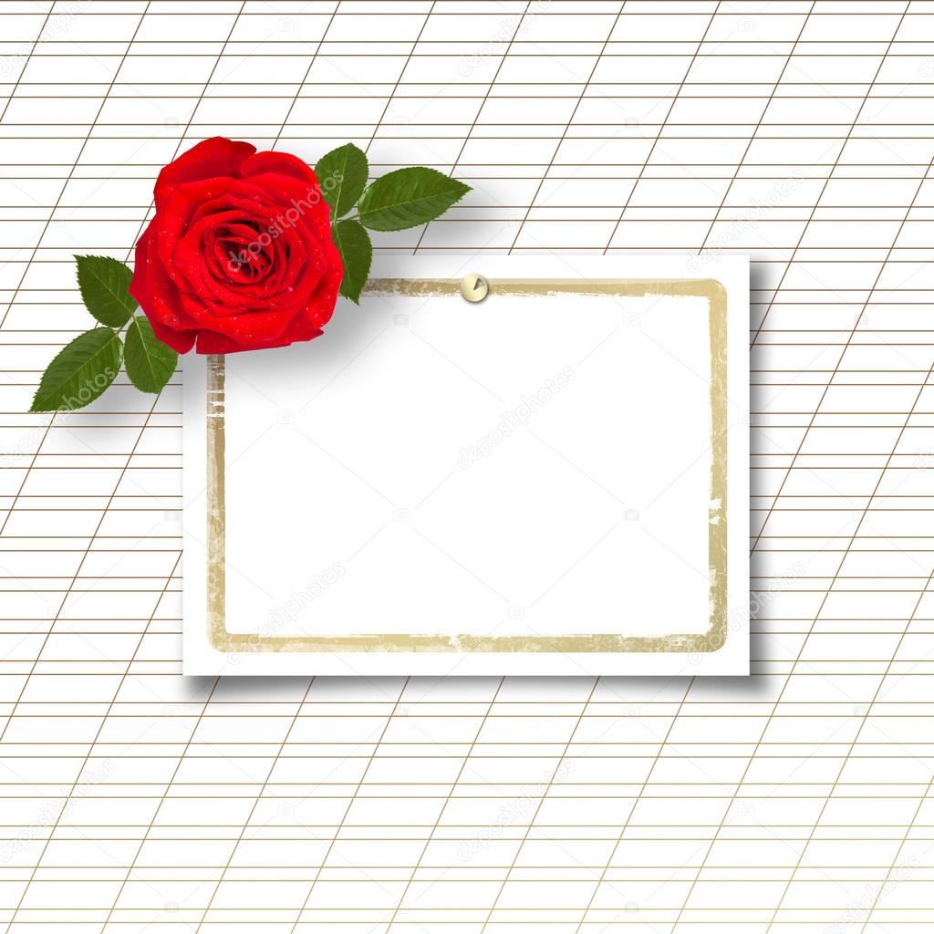 Rose with invitation card — Stock Photo © Loraliu #42434403