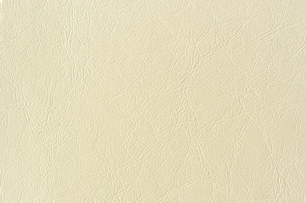 Ivory texture Stock Photos, Royalty Free Ivory texture Images ...
