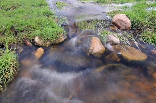 Stream flowing water Stock Photos, Royalty Free Stream flowing water ...
