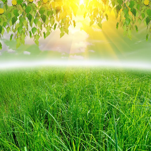 Green landscape sun Stock Photos, Royalty Free Green landscape sun ...