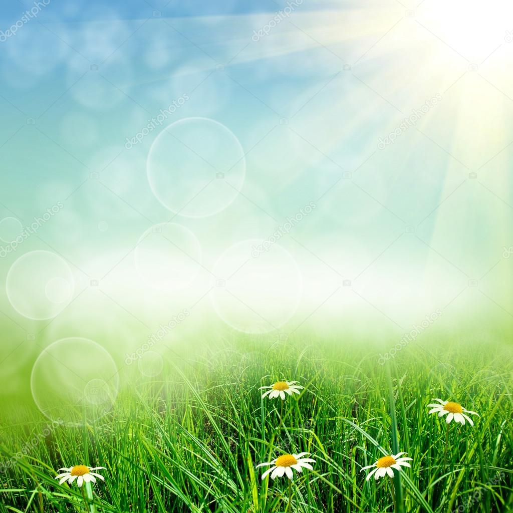 Green nature background Stock Photo by ©jonson 21794003