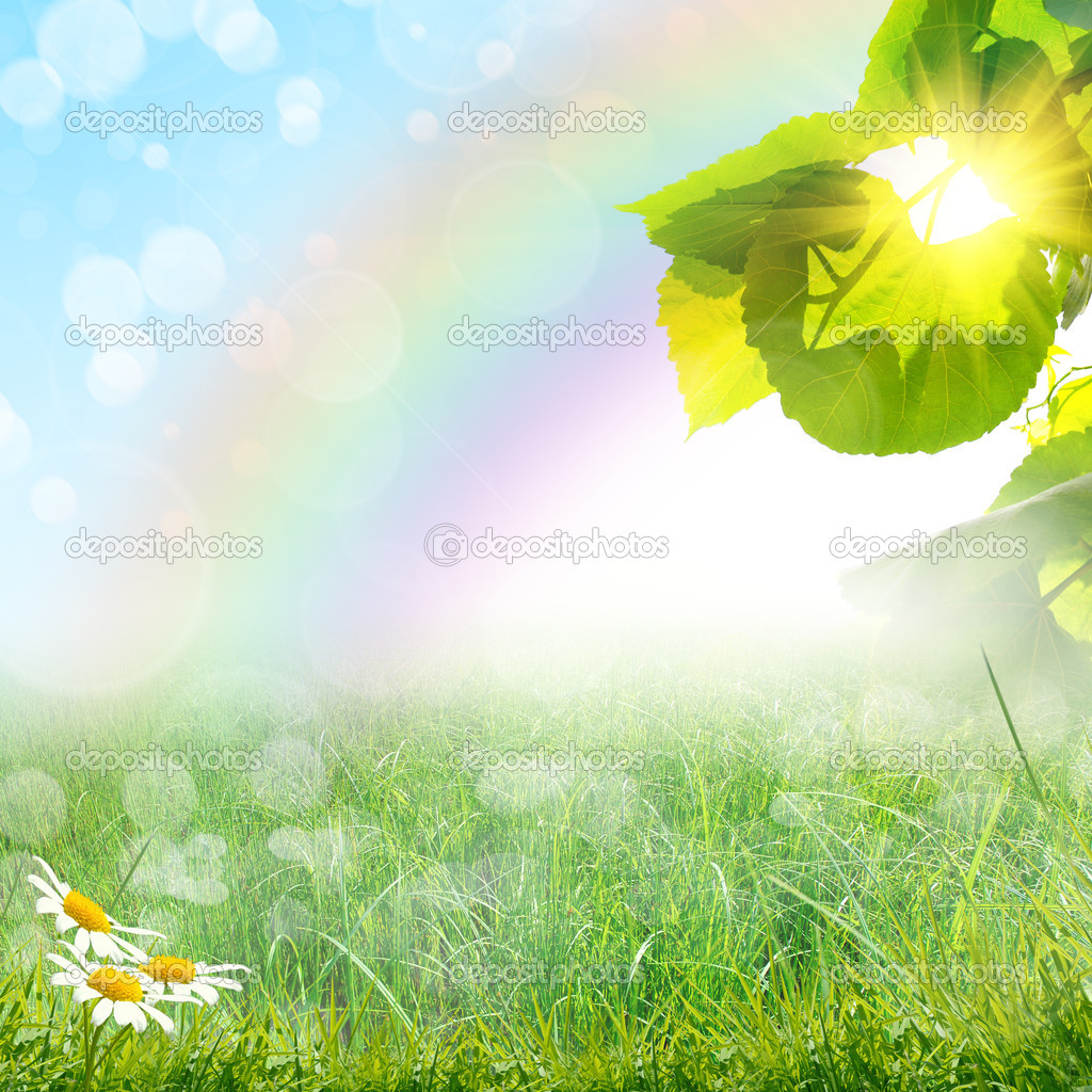 Green summer nature background Stock Photo by ©jonson 25238345