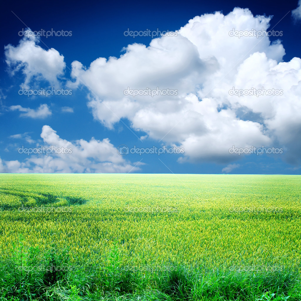Summer landscape with the sky Stock Photo by ©jonson 28722235