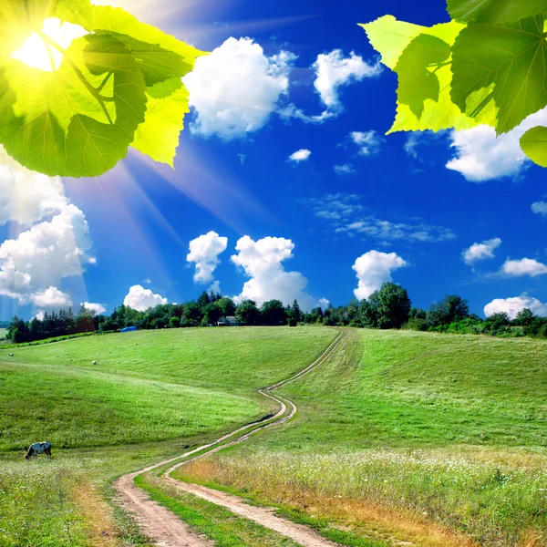 Sunshine in nature Stock Photos, Royalty Free Sunshine in nature Images ...
