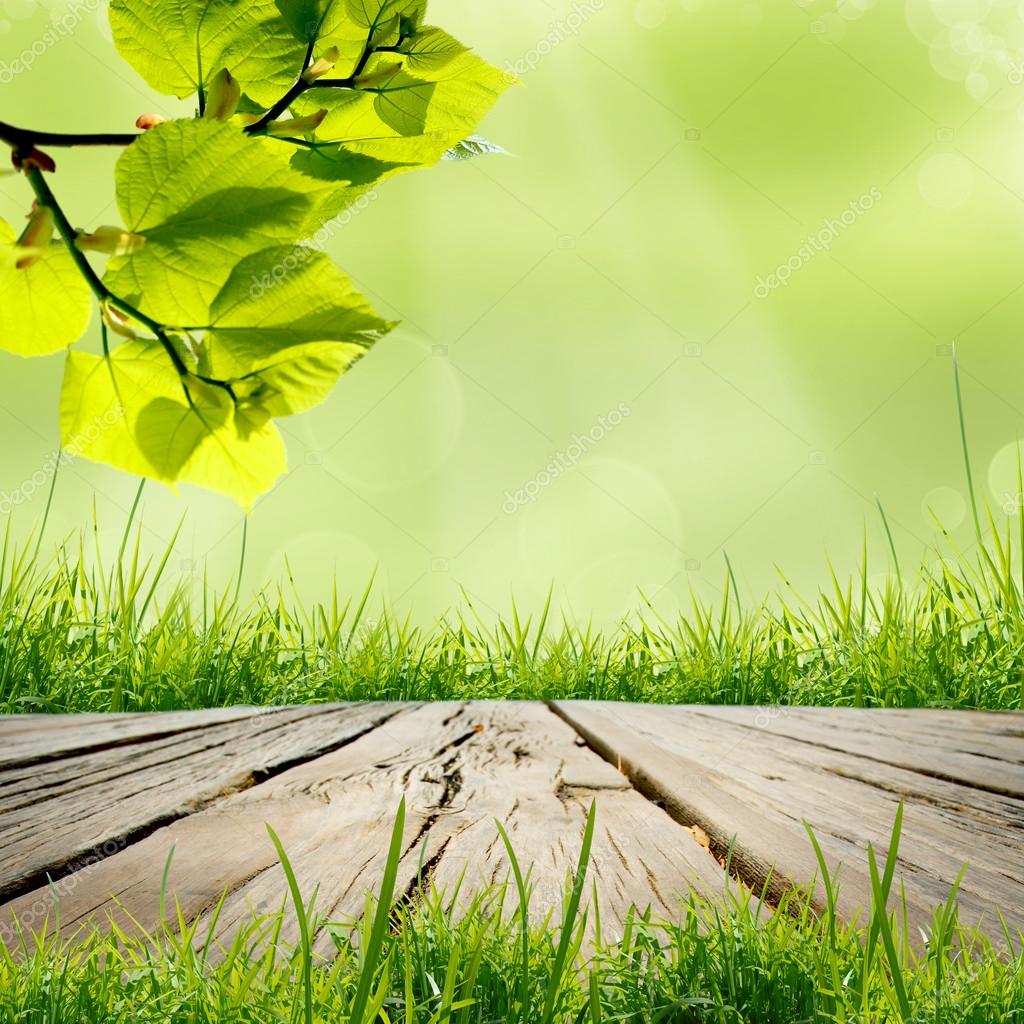 Table with natural background Stock Photo by ©jonson 48192547