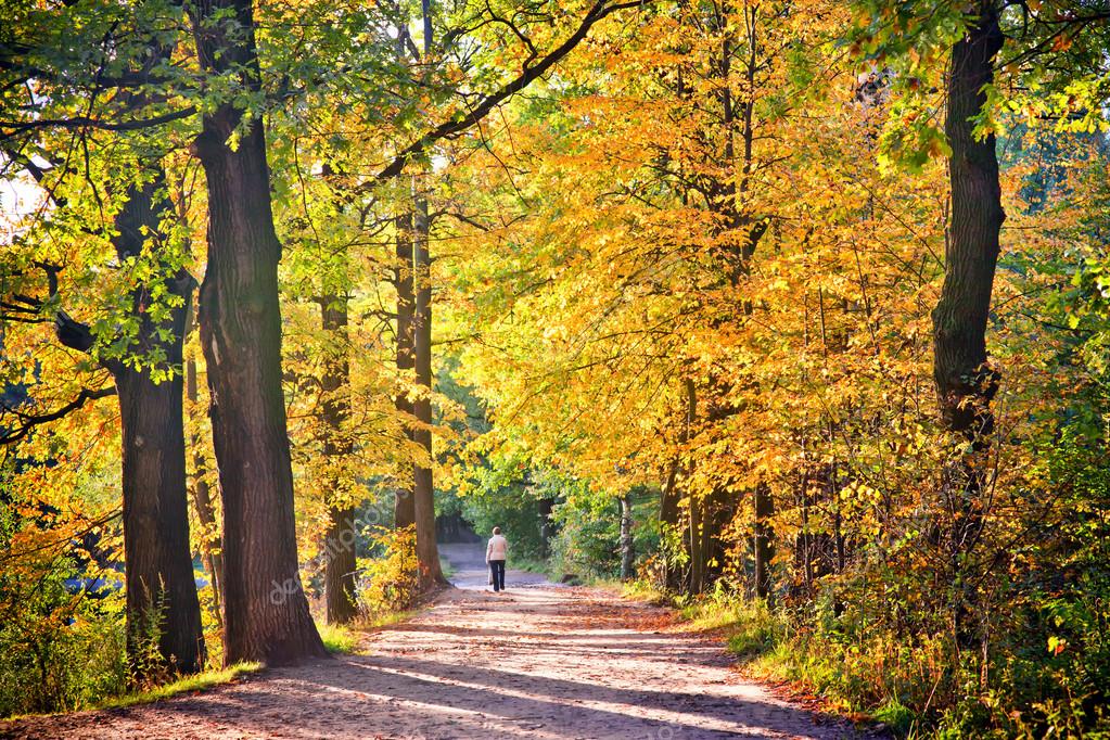 September — Stock Photo © JuliaSha #13216895