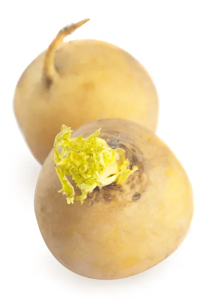 Yellow turnip Stock Photos, Royalty Free Yellow turnip Images ...