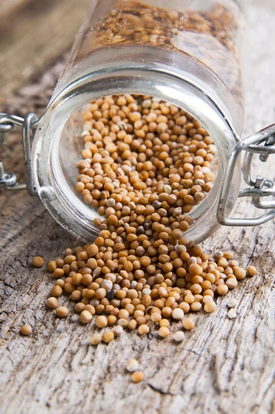 Mustard — Free Stock Photo © nanka-photo #49424431