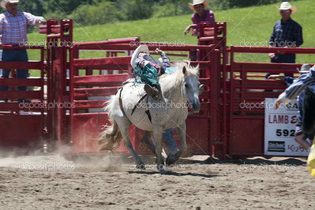 Rodeo — Stock Editorial Photo © Mishella #16035503