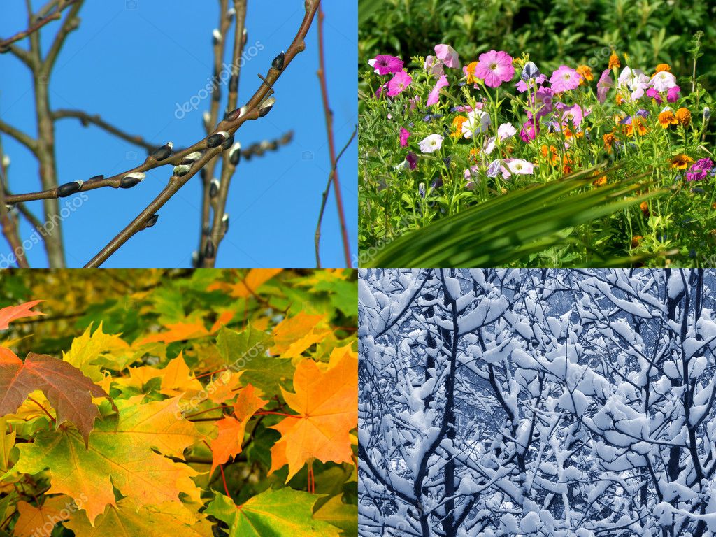 Seasons background Stock Photo by ©Violin 13896659