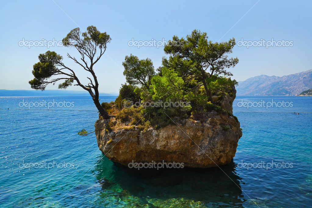 Island and trees in Brela, Croatia — Stock Photo © Violin #51269375