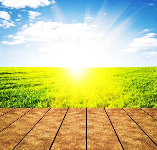 Campo fondo imagens de stock, fotos de Campo fondo | Baixar no ...