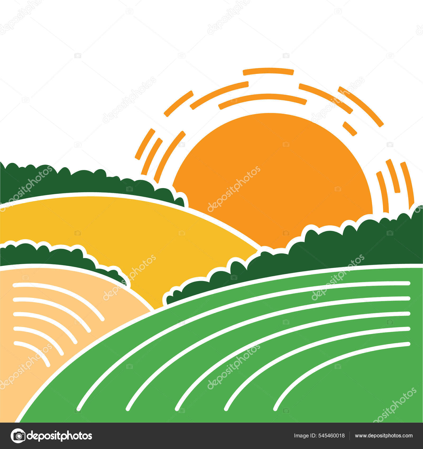 Country Landscape Fields Sun Vector Color Flat Style Illustration ...