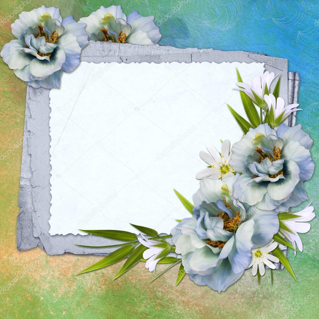 Background for congratulation card Stock Photo by ©welena 25559429