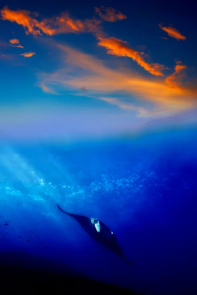 Divesite Stock Photos, Royalty Free Divesite Images | Depositphotos®