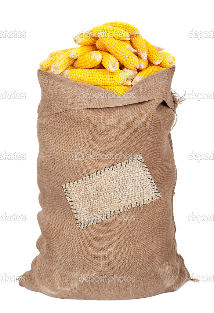 Big sack of corn cobs — Stock Photo © Alexan66 #12846381