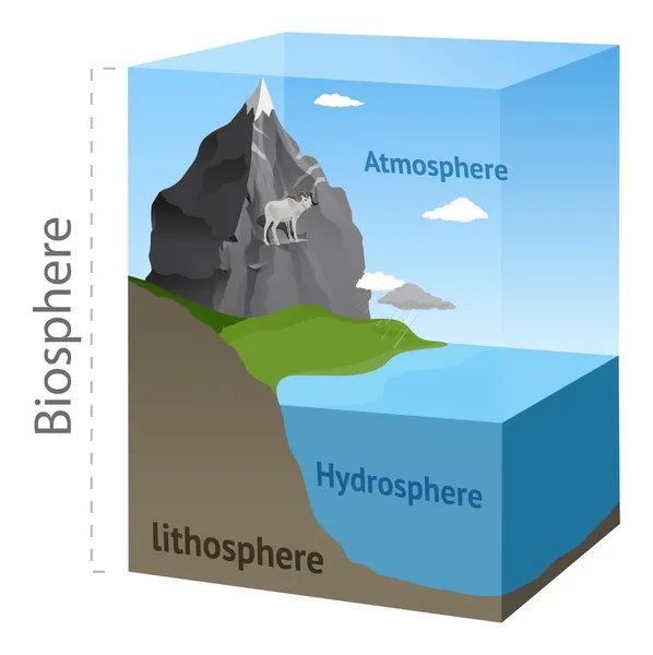Atmosphere, biosphere, hydrosphere, lithosphere, — Stock Vector ... Atmosphere, biosphere, hydrosphere, lithosphere, — Stock Vector ...