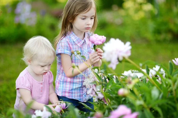 Children picking flowers Stock Photos, Royalty Free Children picking ...