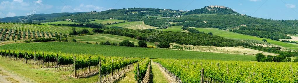 Panorama of wine fields in Italy ⬇ Stock Photo, Image by © MNStudio ...