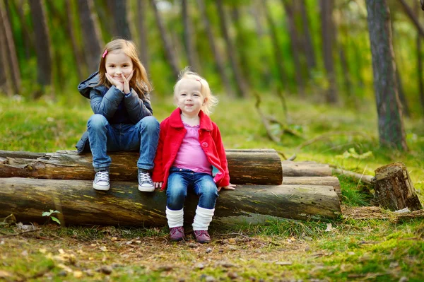 Sisters sitting on logs - Stock Image - Everypixel