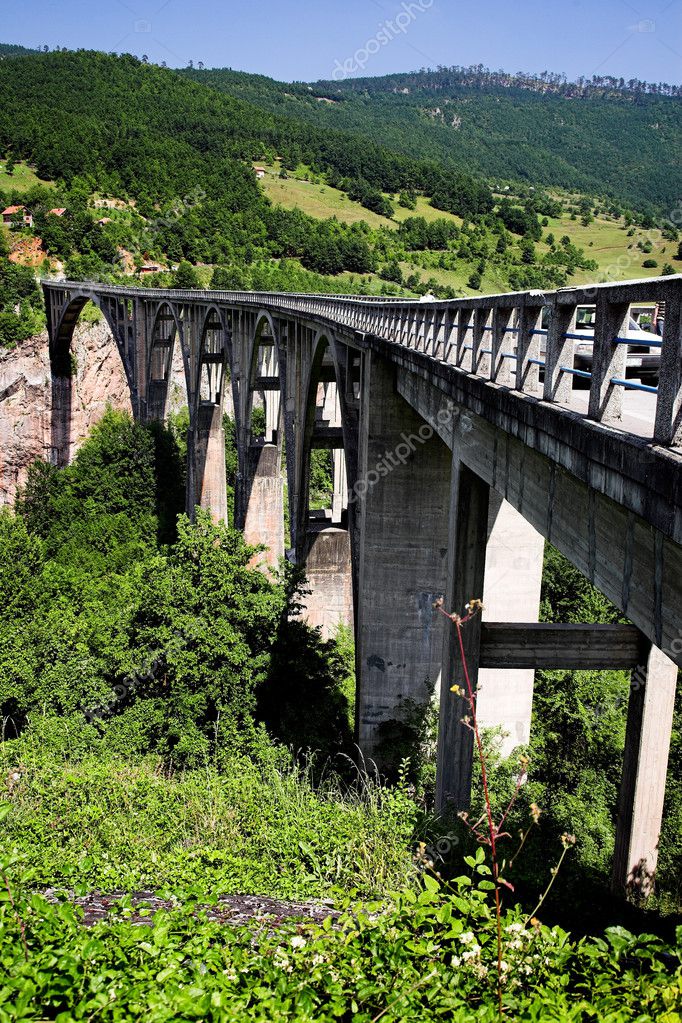 Tara Bridge Stock Photo by ©kovalvs 36836481