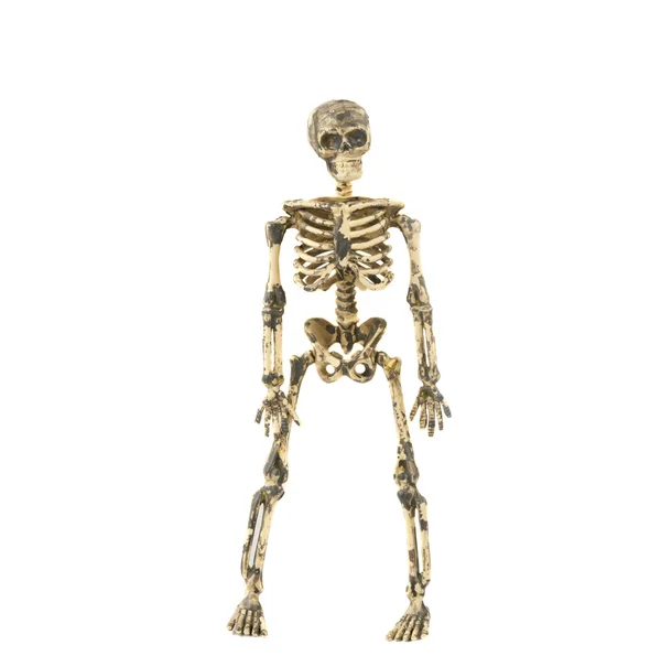 Crouching skeleton — Stock Photo © homeworks255 #10197963