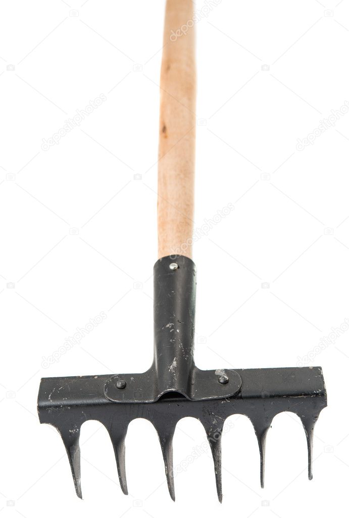 Garden rake is isolated — Stock Photo © ksena32 #24524839
